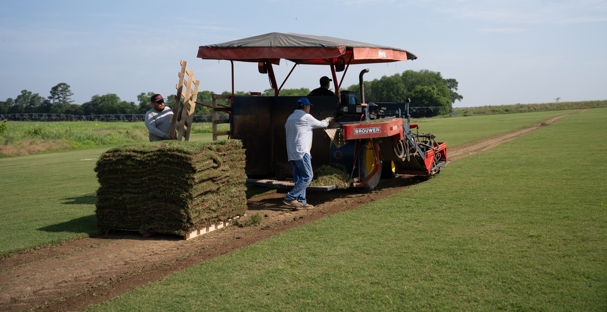 Types of Sod | Bermuda, Zoysia & Fescue | Chattanooga, TN